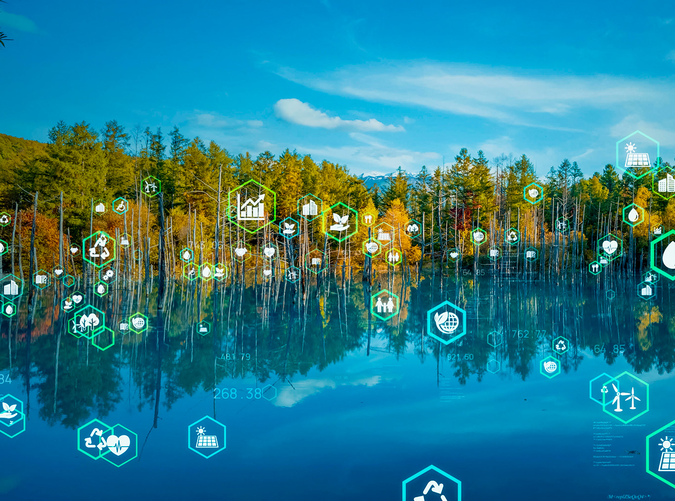 BDT | Manufacturer of Superior Bio-based Binders & Sealants